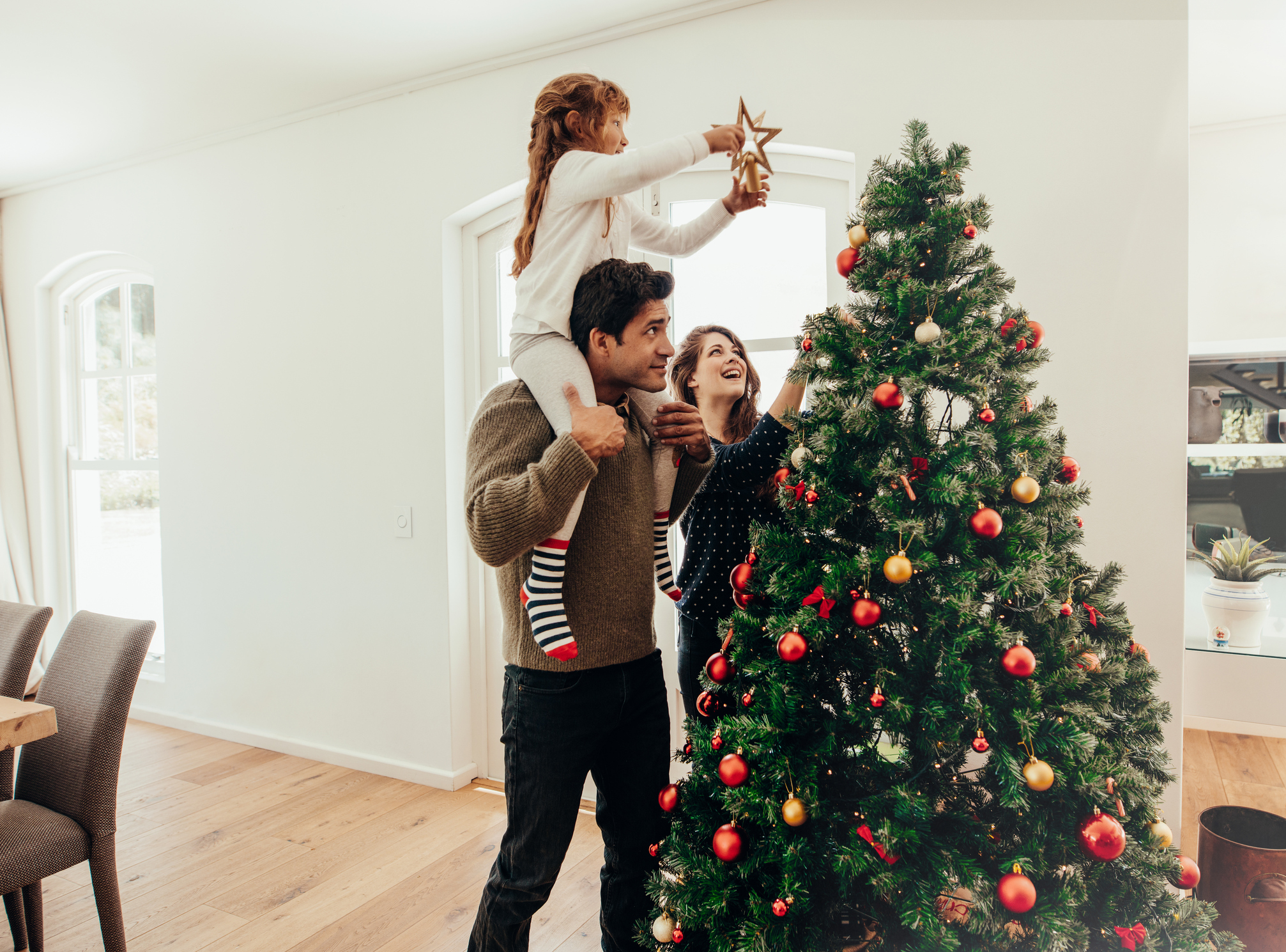 Indoor Air Quality Concerns During the Holidays: Christmas Trees | HVAC ...